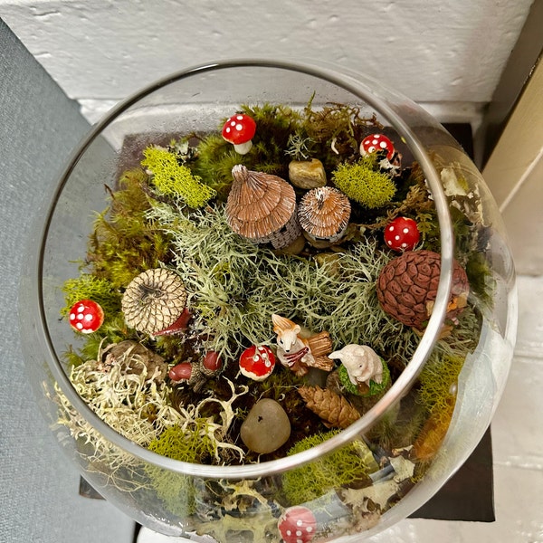 Star Moss Syntrichia Princeps | Live Moss With Sporophytes | Terrarium ...