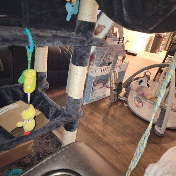 CAPUCHIN DIAPER SET in Dinosaurs - Etsy