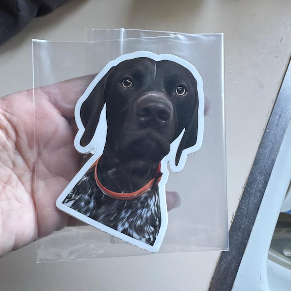 Custom Face Sticker, Stickers From Your Photo Portrait - Die Cut ...