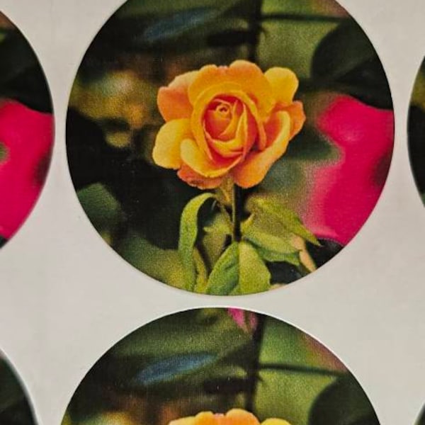 Custom Picture Stickers, Photo Stickers, Circle Round Image Stickers ...