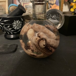 Vintage Medical Encyclopedia Dictionary Pages With Anatomy ...