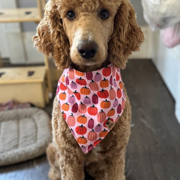 Halloween Dog Bandana Halloween Dog Gift Bat Dog Bandana Dog Scarf ...