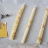 Pond Bundle - Mallard, Koi, Frog Life Cycle | Charlotte Mason ...