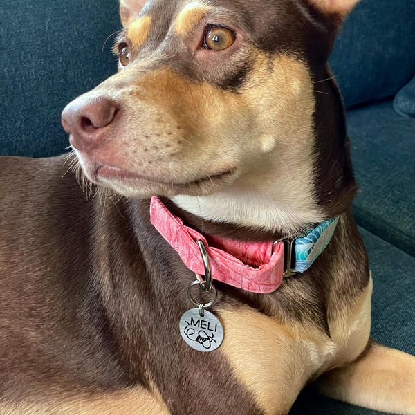 QR Code Id Dog Tag, Scannable Id Tag, QR CODE Pet Tag, Engraved Dog ...