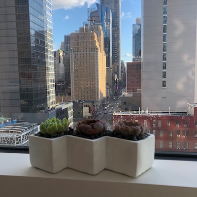 Live Succulent Arrangement in Artsy Zigzag Container - Etsy