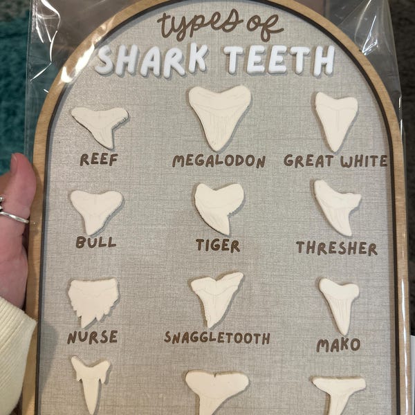 Shark Teeth Sign | No Wake Zone | Beach Theme Decor | Shark Room Sign ...
