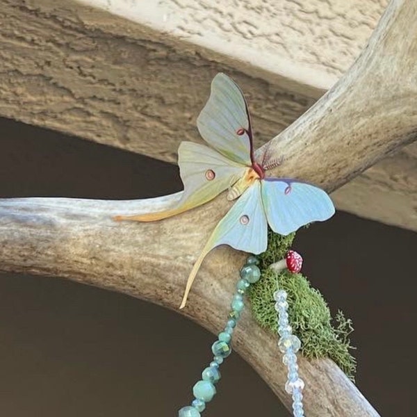 Paper Luna Moth & Morpho Butterfly Cutouts, Double-sided Craft ...