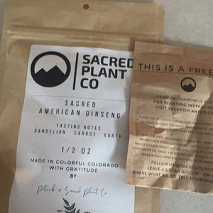 Sacred Fig Tree Seeds Bodhi Tree Seeds Pippala Tree Seeds Peepal Tree ...