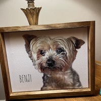 The Litter Room Funny Cat Office Sign Perfect Gifts for Pet - Etsy