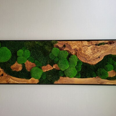 Moss Picture Ball Moss Solid Wood Frame Oiled Oak Moss - Etsy