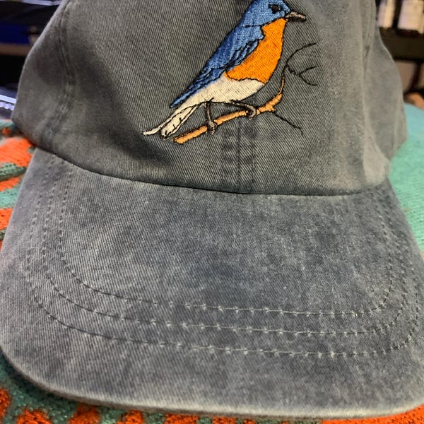 Broad Tailed Hummingbird Embroidered Baseball Cap, Low Profile Dad Hat ...