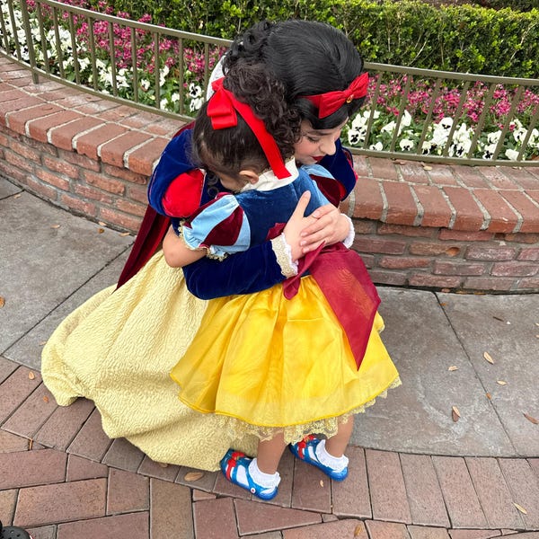 Glinda Dress, Glinda Costume, Wizard of Oz Costume, Wicked Dress ...