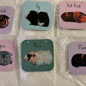 Rat Cage Tag Rat Cage Accessories Rat Name Tag Rat Cage | Etsy