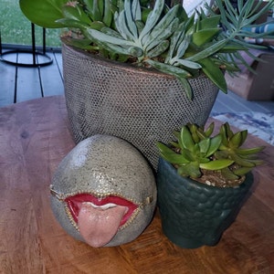 Garden Decor Zippered Tongue Rock Statue Unusual Odd Weird Strange ...