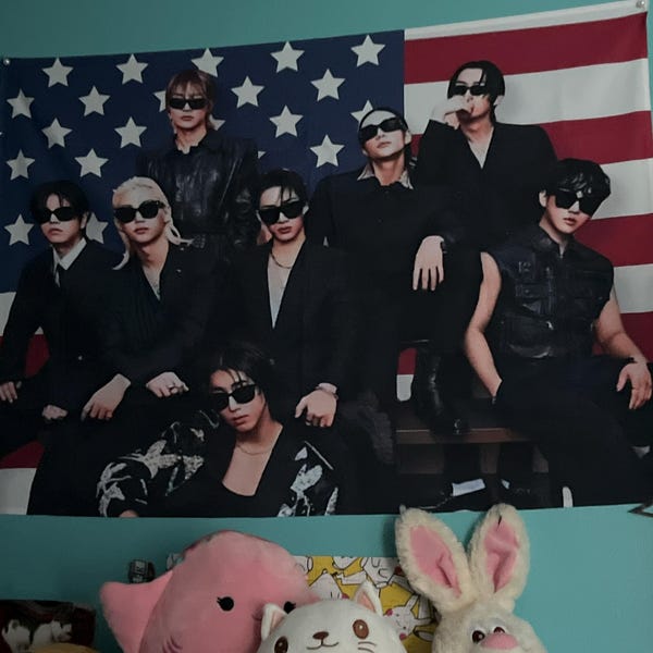 Stray Kids Members Pink America Flag Banner, Skz Tour 2024 Kpop Flag ...