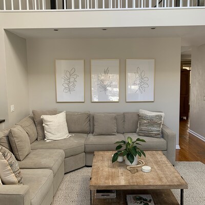 Eucalyptus Print Silver Dollar Plant Botanical Line Modern - Etsy