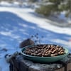 Utah Acorn Mix Squirrel Feed With Black Sunflower Seeds and Dried Corn ...