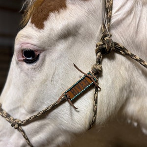 Sparkle Gambler Halter Horse Mule Tape Halter With Bronc Nose Band ...