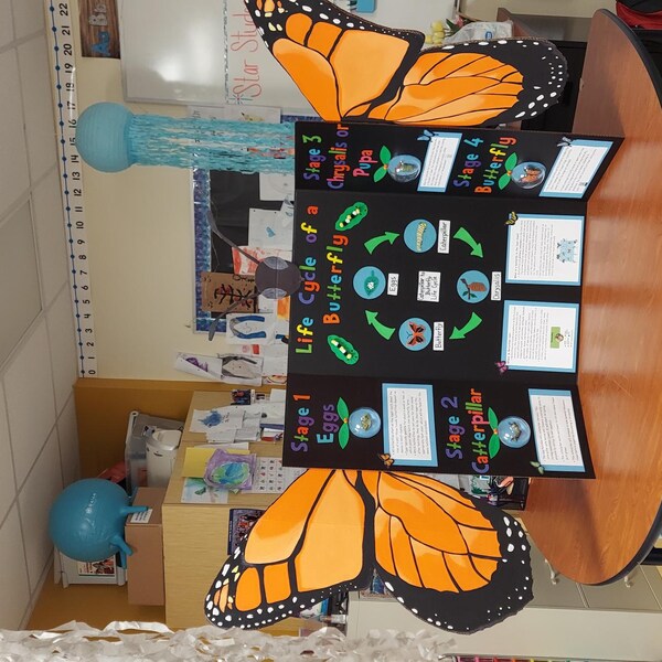 Shape House Felt Story, Felt Board Story, Felt Set, Circle Time ...