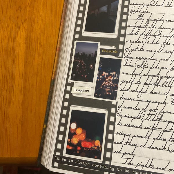 Shark Shirt, Cottagecore Shirt, Shark Species Tee, Great White ...