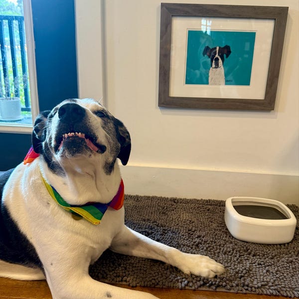 Funky Pet Portrait, Custom Pet Portrait Wall Art, Modern Dog Art, Fun ...