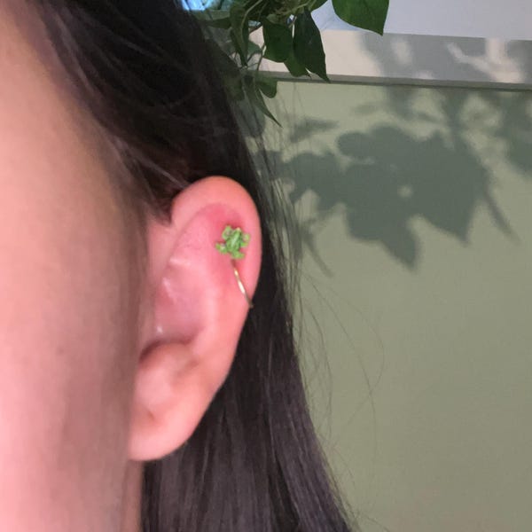 16G Tiny Frog Internally Threaded Cartilage Stud/daith Studs/tragus ...