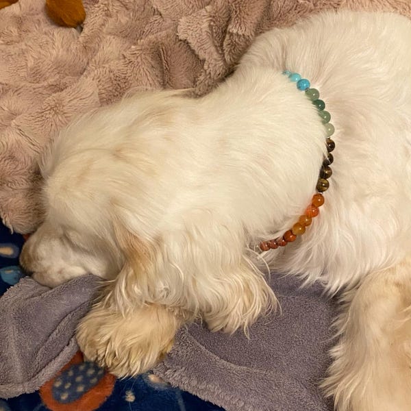 Lithotherapy and Anti-ticks Collar for Dog, Anti-anxiety and ...