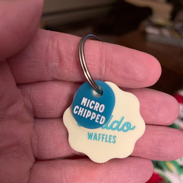 Kid's Info Keychain - in Case of Emergency Key Chain, Phone Number ...