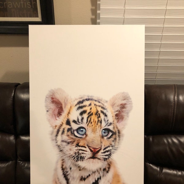 Baby Tiger Print, Safari Animal Prints, PRINTABLE Nursery Art, Safari ...