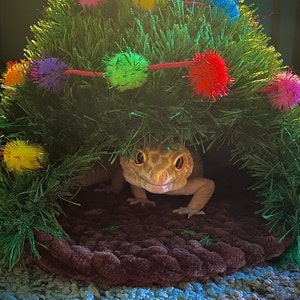 Heidi the High Frequency Word Hedgehog fry Sight Words - Etsy