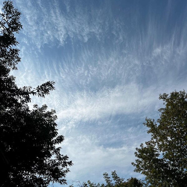 Accurate Telepathy Reading Without Tarot Cards, Same-hour Psychic Mind ...