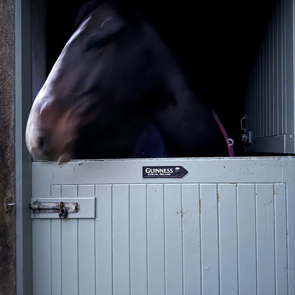 Donegal Cast Crest Iron GAA Sign - Etsy