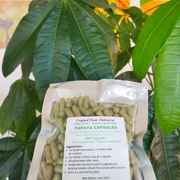 FRESH POWDER Gynura Divaricata Tuber gynura Divaricata Organic - Etsy