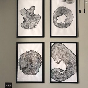 Giant Redwood Tree Ring Art Print Made From a Real Redwood | Etsy