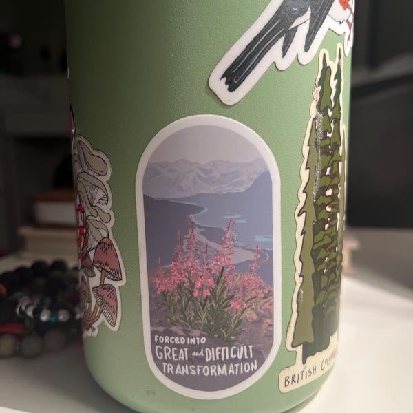 Jasper Fireweed Sticker - Etsy