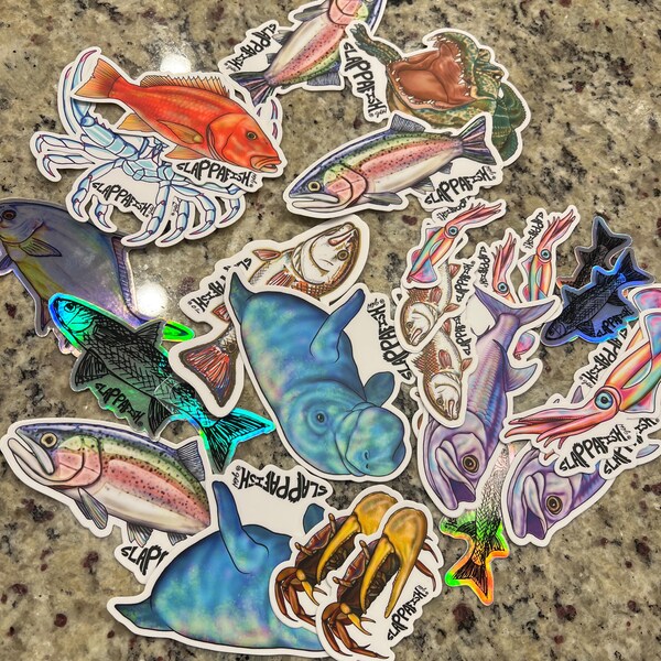 Barracuda Sticker, 10 Inch - Etsy