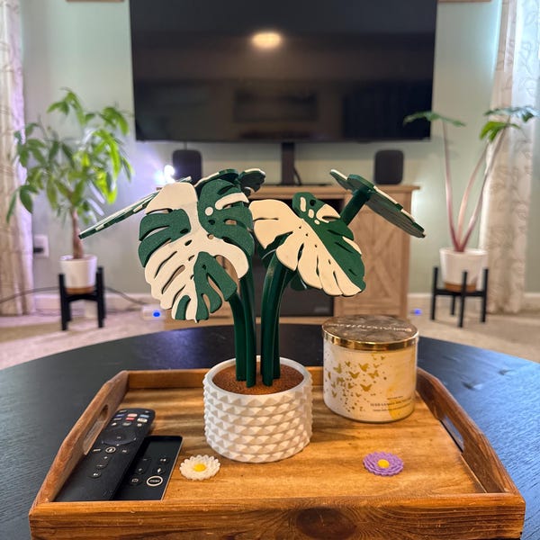 Fiddle Leaf Fig Tree Coaster Plant - Desk Toy or Coffee Table Piece - Etsy