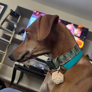 Bat Dog Tag Spooky Dog Tag Halloween Pet Tag Stars - Etsy