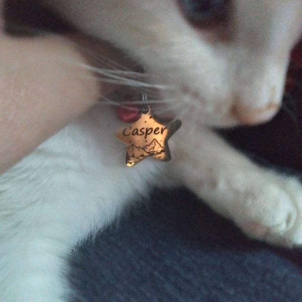 Cat Id Tag - Pet Tag - Cat Tag Personalized - Cat Tag Small - Pet Tags ...