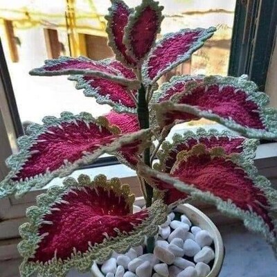 PATTERN Crochet Coleus Plant Cretona English & Español - Etsy