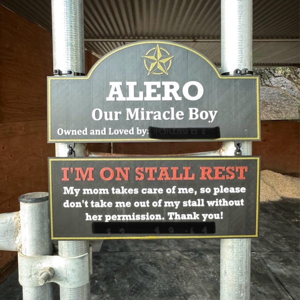 Large Personalized Horse Stall Sign or Plaque With Second Attached Sign ...