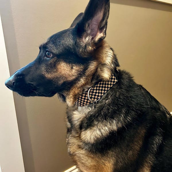 Luxe Blue Sapphire Velvet Key Fob Wristlet | Winter | Rose Gold, Gold ...