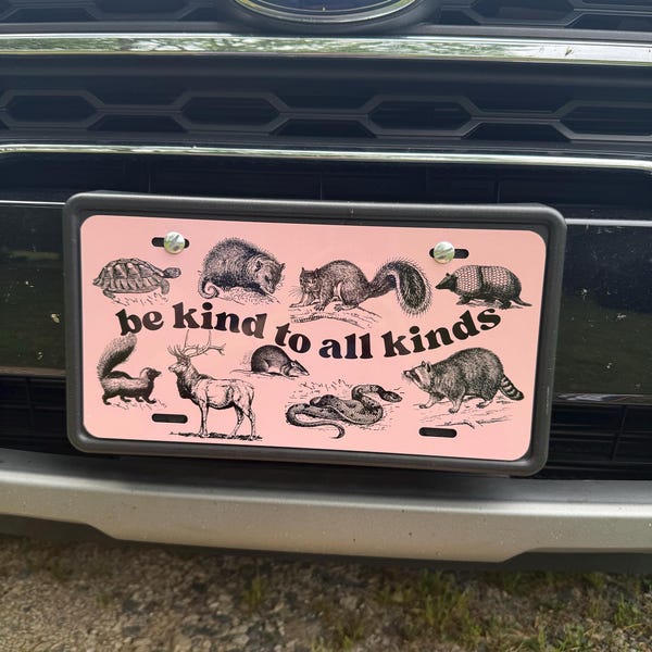 Insects License Plate Frame - Entomology Entomologist Car Truck Gift ...