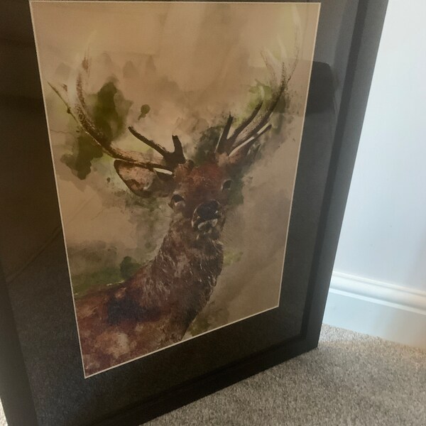 Kitchen Décor Wall Hangings, Chilli Scoville Chart Print Set of 2 ...