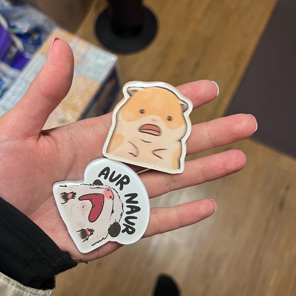 Raccoon Aur Naur Funny Cute Acrylic Magnet Gifts Under 10 Novelty ...