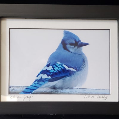 Note Greeting Card Display Rack New Acrylic 6 Tier 24 Counter Rack Fits ...