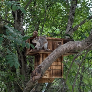 Flying Squirrel House, Northern Flying Squirrel House, Southern Flying ...