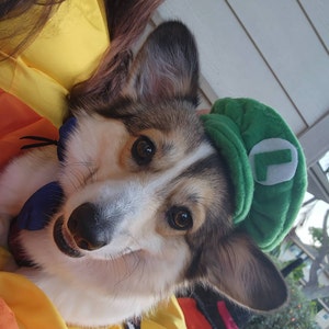 Supper Mario Luigi Wario Waluigi Hat for Dog or Cat Small Animal Doll ...