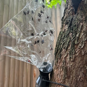 Spotted Lanternfly Trap Keep Your Garden Pest-free - Etsy