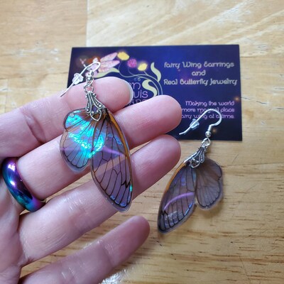 Extra Large Cicada Wing Fairy Earrings Real Insect Wing - Etsy